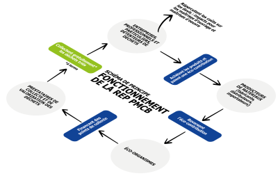 Comprendre les enjeux de la REP PMCB | Formation
